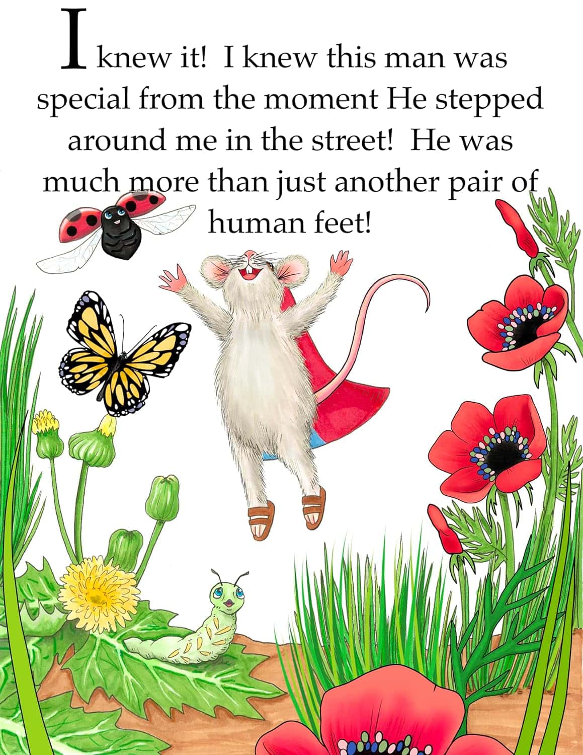 Read an extract from Of Mice and Feet by Jessica Scoles - PufferPrint