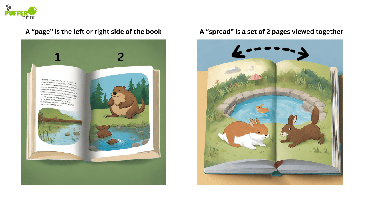 Best Book Design: Board Books Edition, How to Make a Professional ...
