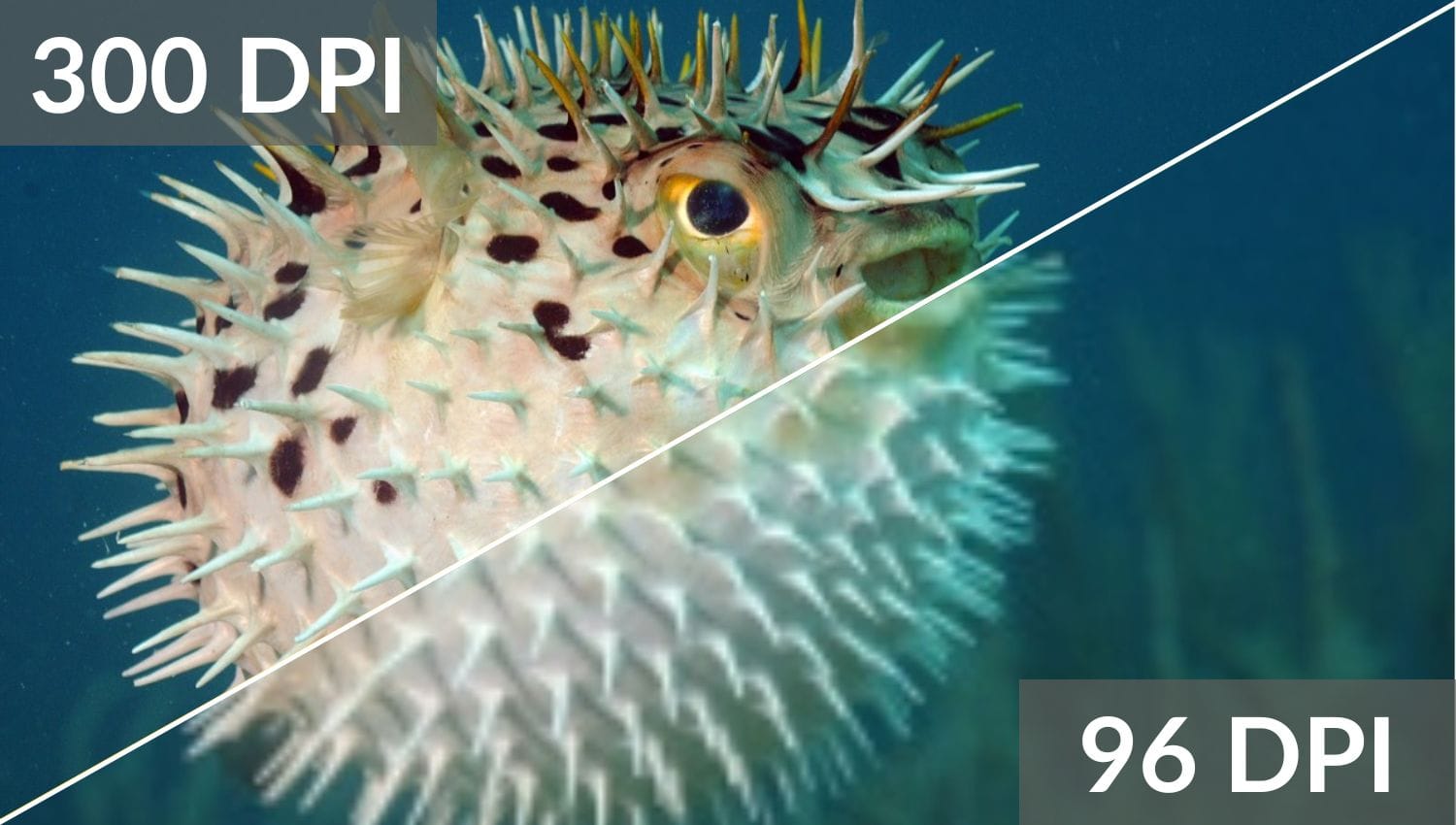 Formatting Guide - PufferPrint